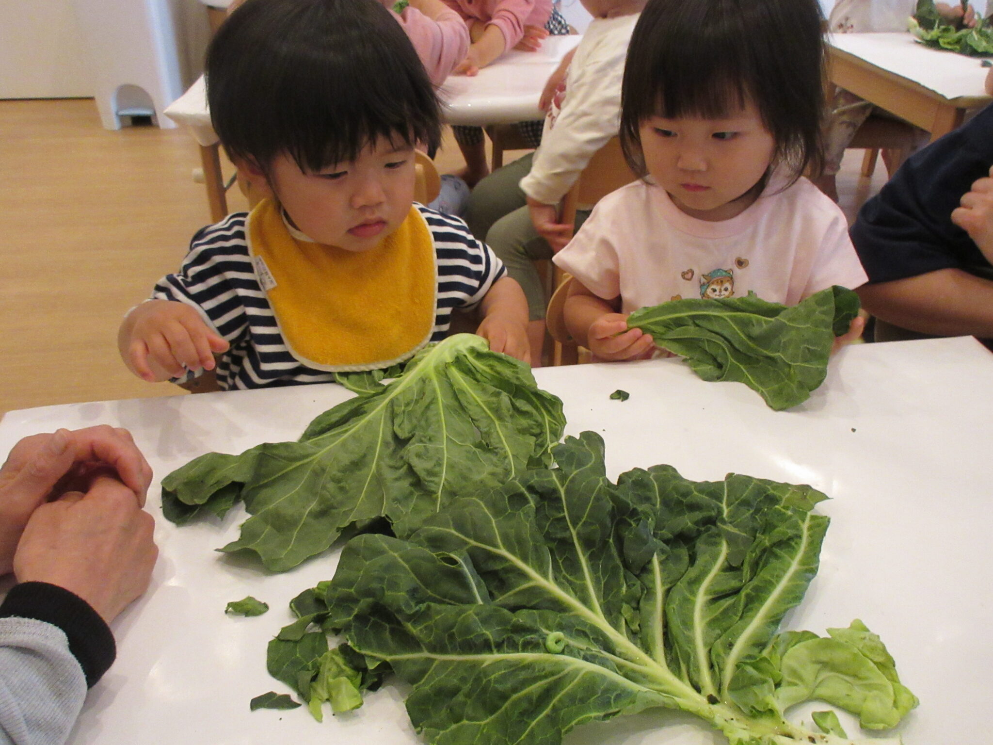 IMG_8919 | お知らせ・保育日誌 | きらら保育園 市川南